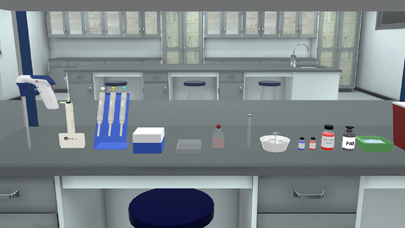 8-OHdG Assay Biology Virtual Lab Simulation| PraxiLabs