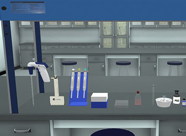 Chromosome aberration test