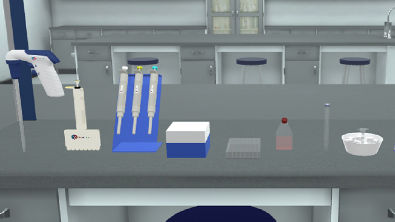 BrdU Assay Virtual Lab Simulation| PraxiLabs