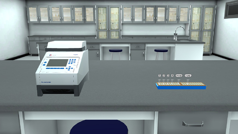 PCR virtual lab | Conventional PCR experiment