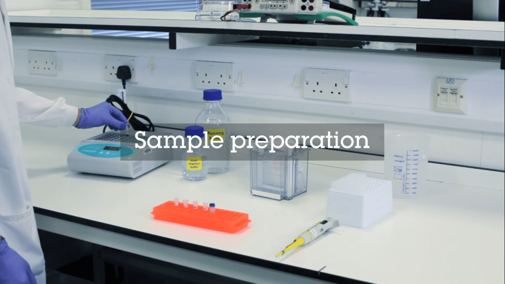 The Concept, Processes, and Applications of Western Blotting
