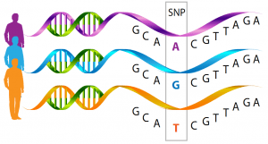 DNA Sequencing: Definition, Importance, Methods and More