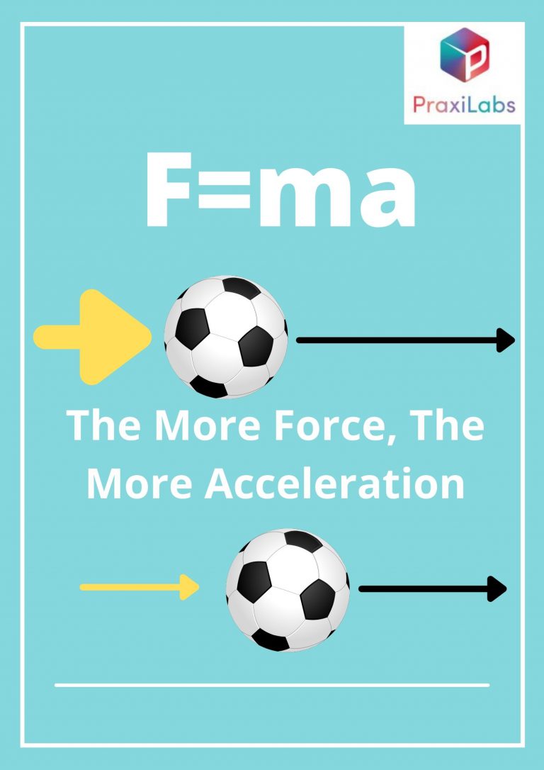 Applications of Newton's Laws of Motion in Daily Life