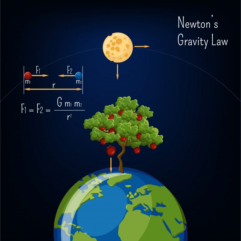 Applications of Newton's Laws of Motion in Daily Life