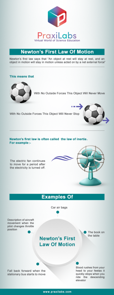 Newton's First Law of Motion Examples in Everyday Life