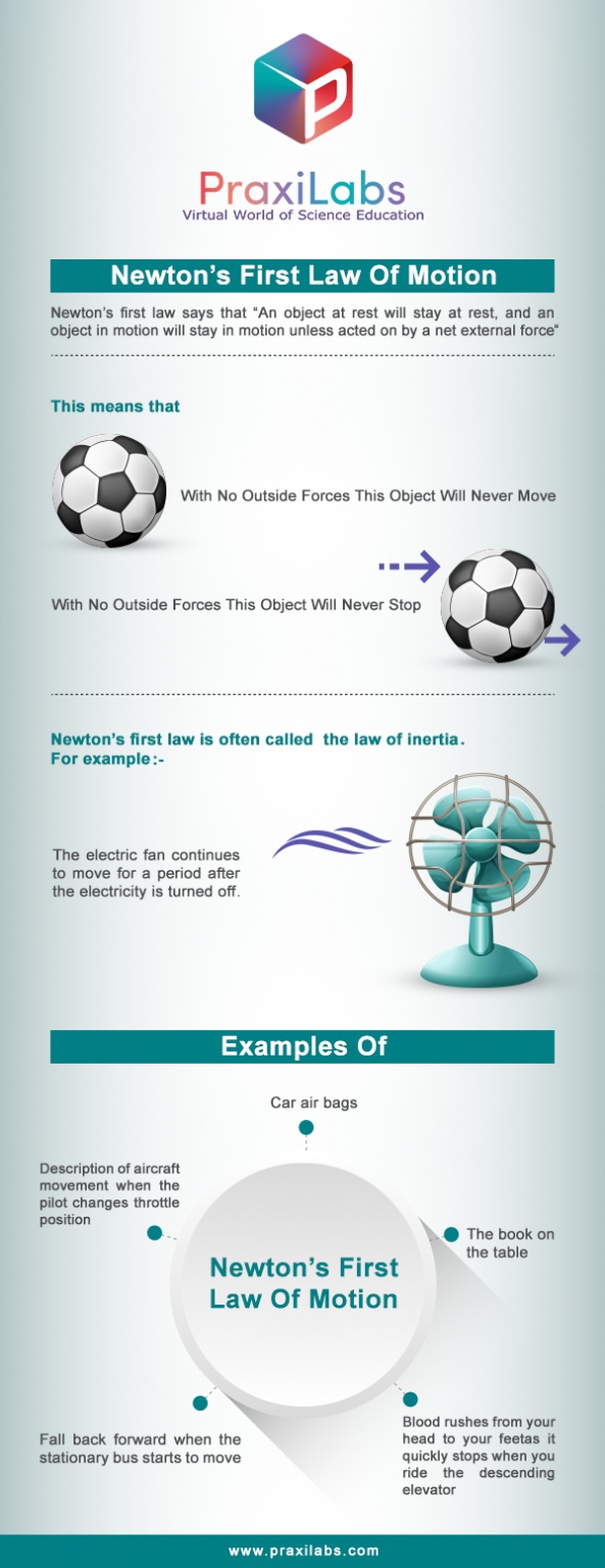 Newton's First Law of Motion Examples in Everyday Life