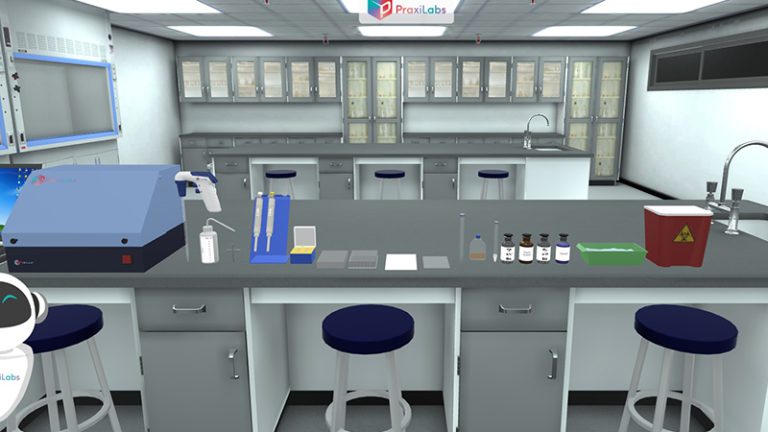 ELISpot Assay | Principle, Procedure, Benefits, and More