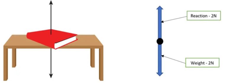 Free-Body Diagram– Paths of Objects' Motion with 6+ examples