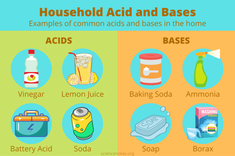 Learn All About The Strong Acids and Bases - PraxiLabs
