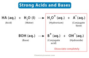 Learn All About The Strong Acids and Bases - PraxiLabs