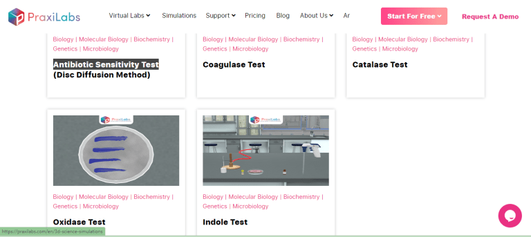 Top 10 Microbiology Techniques You Can't Miss - PraxiLabs