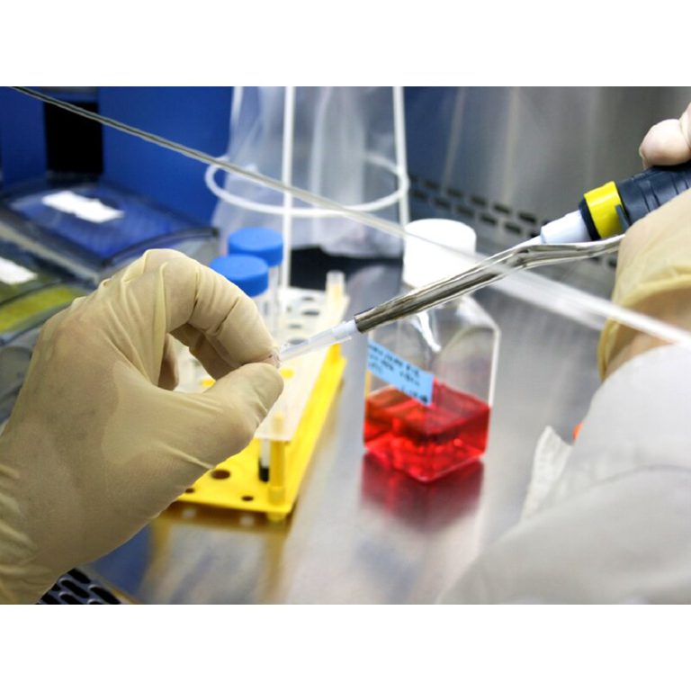 Discover XTT Assay Virtual Lab Simulation from PraxiLabs