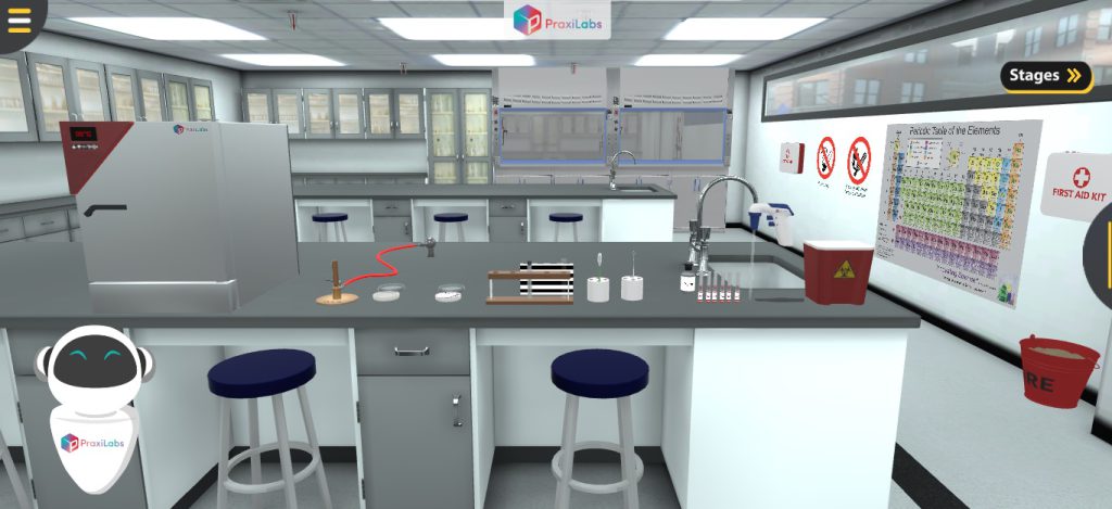 What is Molecular Biology (With +35 Experiments)