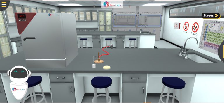 What is Molecular Biology (With +35 Experiments)