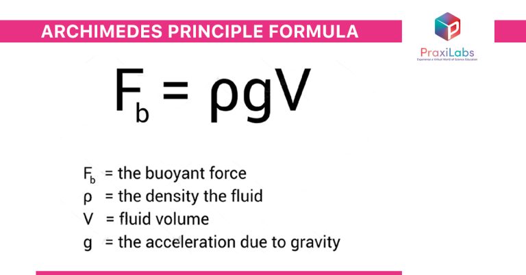 Exploring Top Questions on Archimedes Principle | PraxiLabs