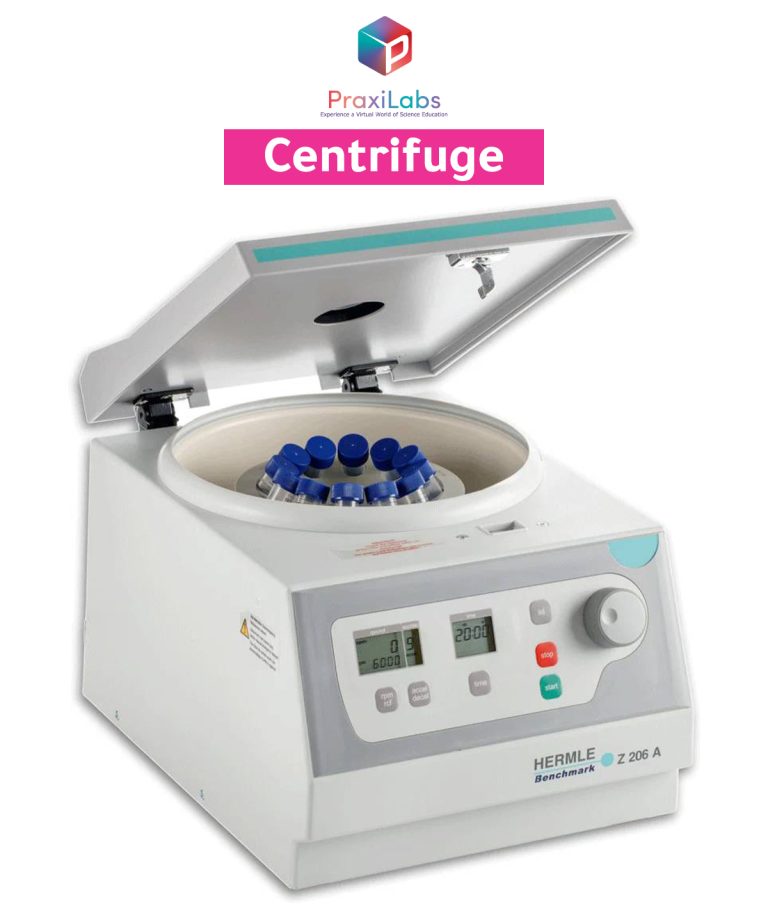 A Deep Dive into Microbiology Lab Equipment and Its Uses