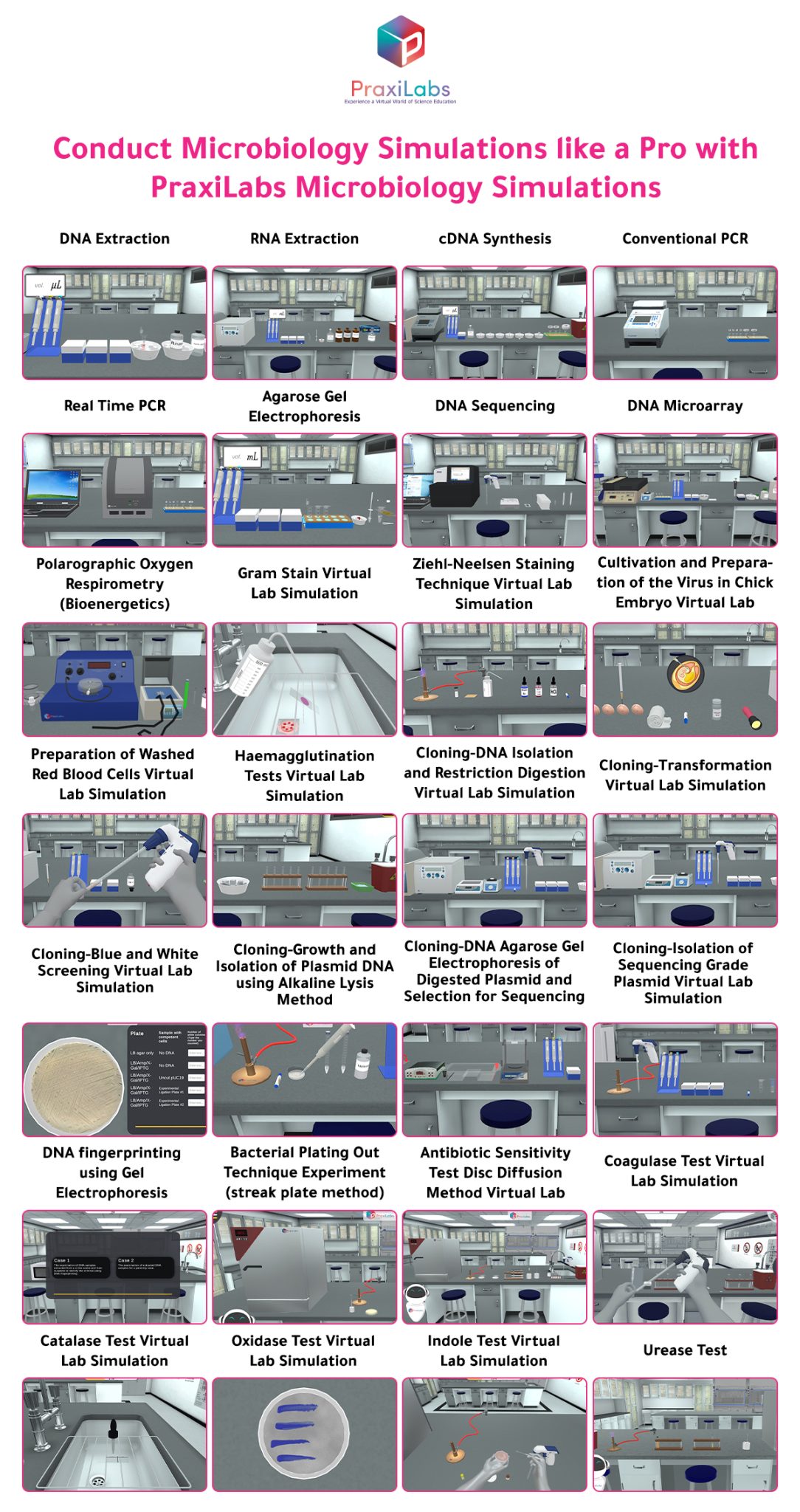 Virtual Microbiology Lab simulations for students