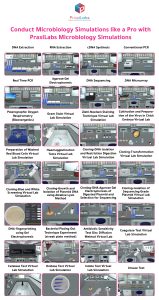 Virtual Microbiology Lab simulations for students