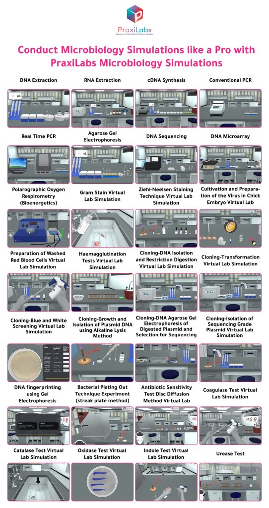 Virtual Microbiology Lab simulations for students