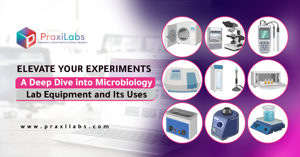A Deep Dive into Microbiology Lab Equipment and Its Uses