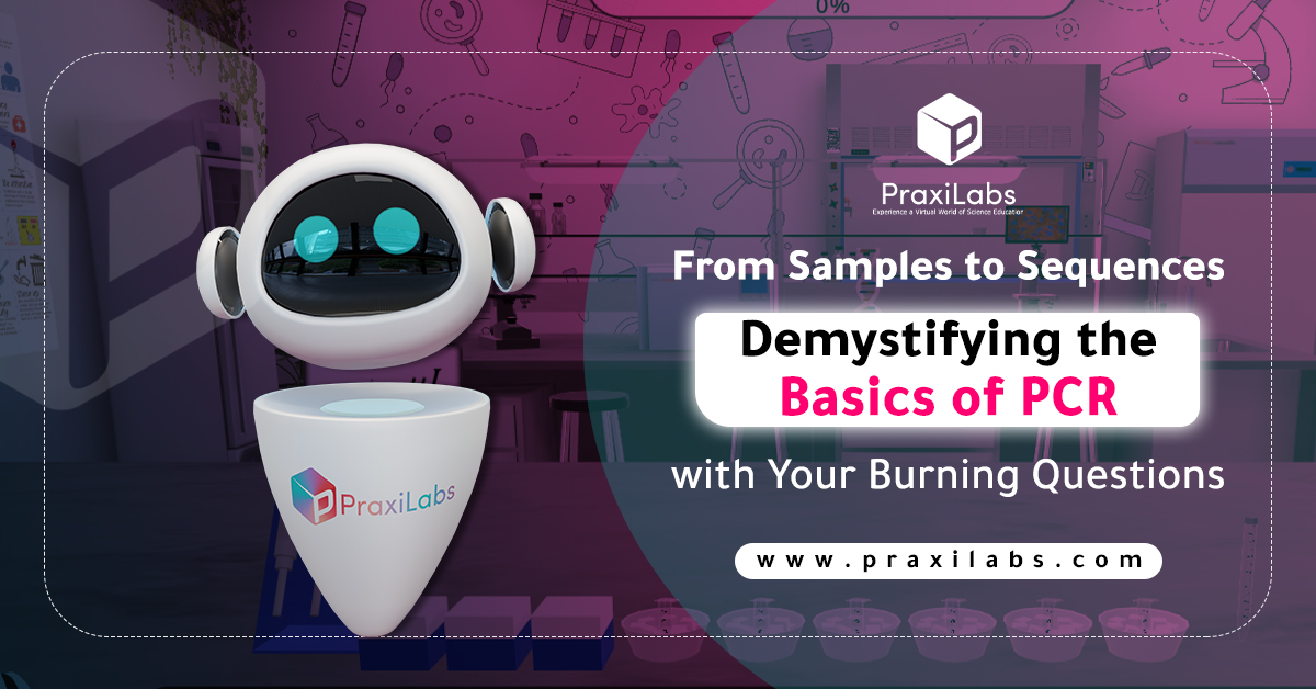 Demystifying the Basics of PCR with Your Burning Questions