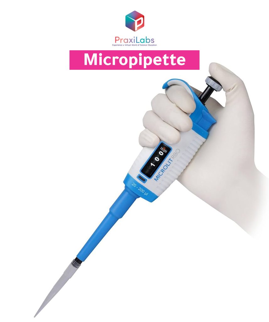 A Deep Dive into Microbiology Lab Equipment and Its Uses