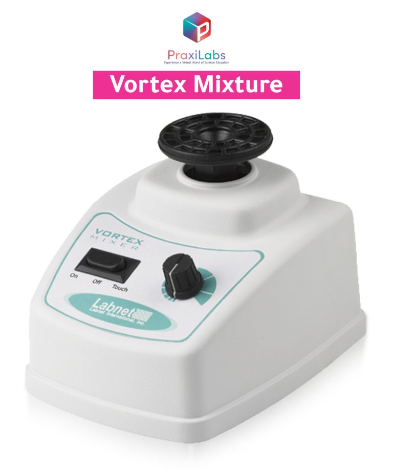 A Deep Dive into Microbiology Lab Equipment and Its Uses