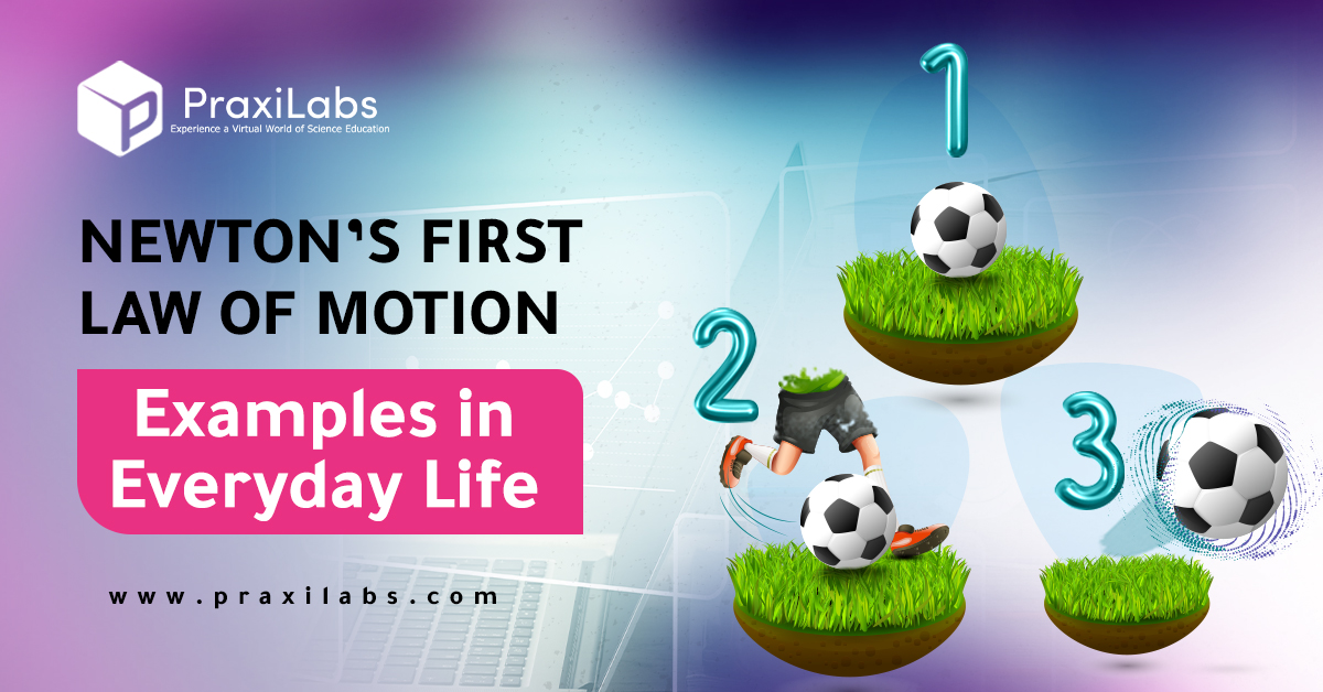 Newtons First Law Of Motion Examples In Sports