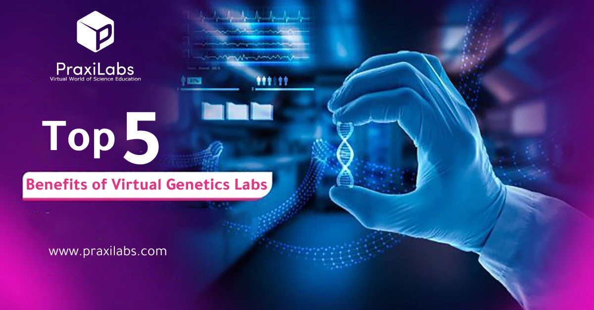 Virtual genetics labs: 3D science simulations