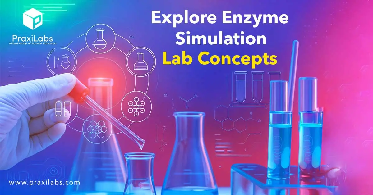Learn Enzyme kinetics in the Enzyme simulation lab
