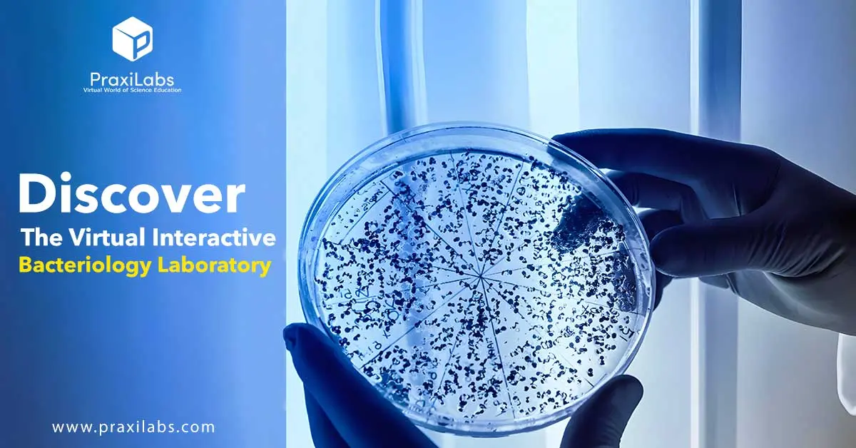 Discover virtual interactive bacteriology laboratory