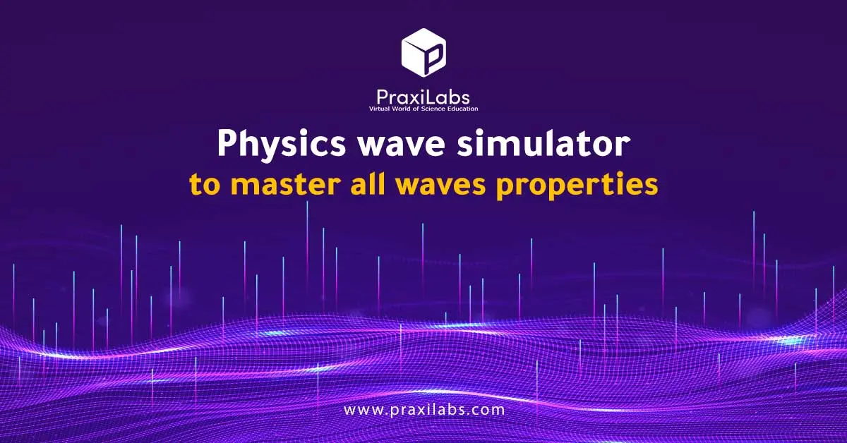 Virtual physics wave simulator