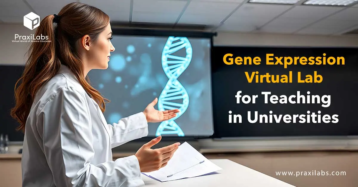 No-prep Gene expression virtual lab