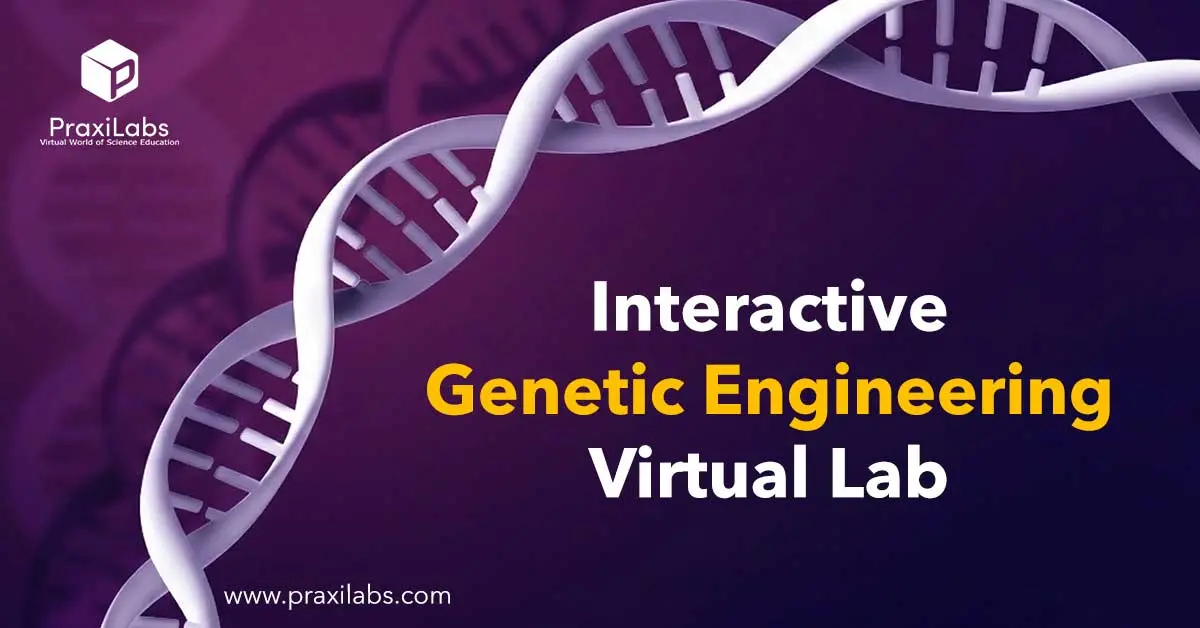 Online Genetic Engineering Virtual Lab